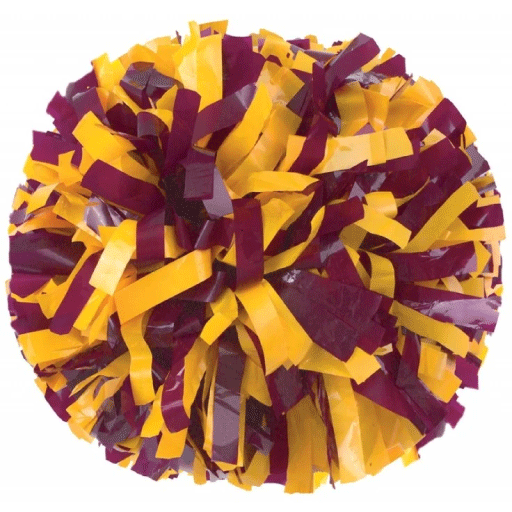 RESOURCES – LASSITER TROJAN CHEERLEADING